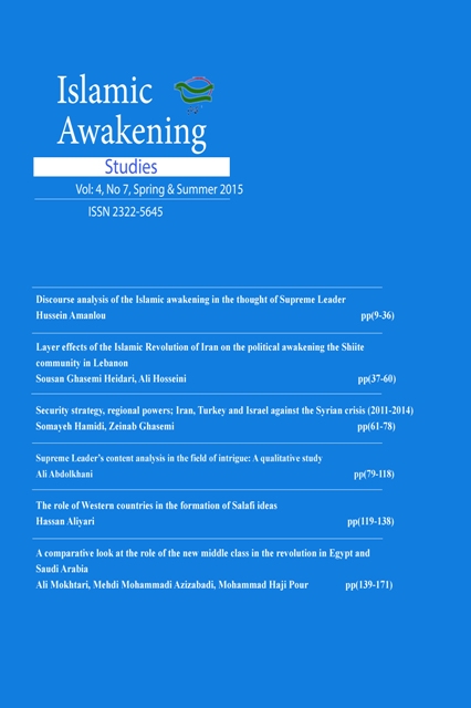 A comparative look at the role of the new middle class in the ...
